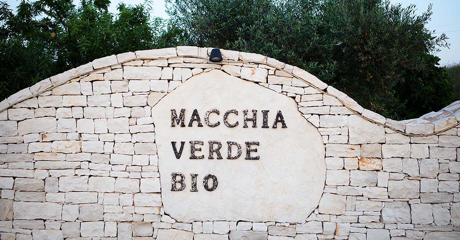 Bio Olivenöl Erzeuger - Olivenöl MACCHIA VERDE BIO